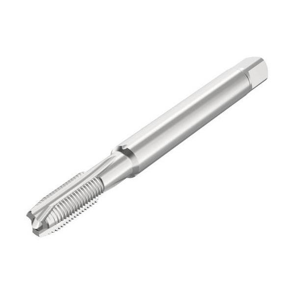 ■特徴 あらゆる用途に使用できるように設計された高速鋼ThreadmasterTapは、幅広い被削材種に適応します。 この工具の特徴は高度なコーティング技術です。 この製品分野で一般的なノンコーティングソリューションと比較して、最高350H...