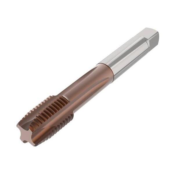 ■特徴 Seco T35-H ねじ切りタップの HiPIMS 技術で得られたTiAlSiN コーティング被膜層と組み合わせた最高品質の HSSE-PM 材種により、30〜45 HRC の被削材料での長い工具寿命の維持を可能にします。 15度...