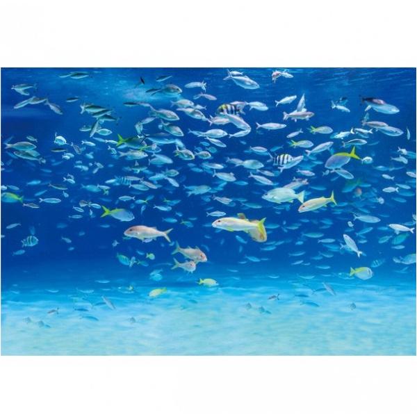 デジタルプリント壁紙「ハイグラフィカ 」の新シリーズ。 指定サイズの品番を選ぶだけでオーダーが可能です。 サンシャイン水族館の大水槽「サンシャインラグーン」がお部屋に！ マリンブルーの世界で心からリラックスできます！ 割付（W）mm/枚:9...