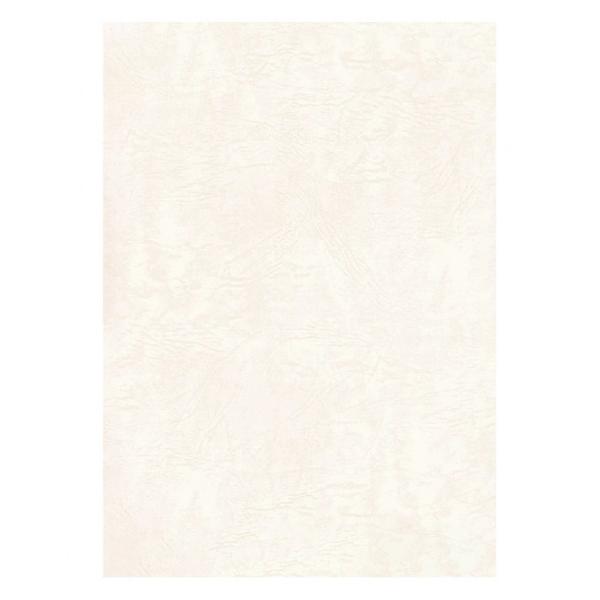 皮しぼ模様のエンボスの入った一般的な特殊紙です。 印刷適性コピー可レーザー可インクジェット可 POP・チラシ・メニューなどに   【サイズ】 297×210mm 【カラー】 雪 【入数】 20枚 002134722