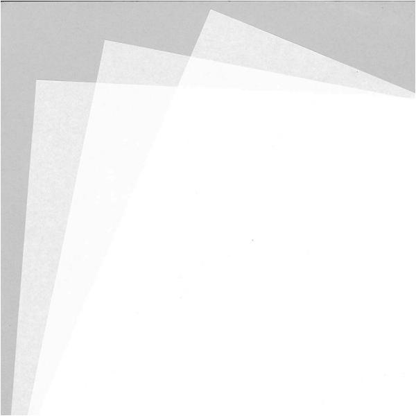 ■商品説明 薄口の白無地の包装紙です。   生花の包装や、インナーラップ等にご利用下さい。  ■材質 純白紙 30g ■サイズ 197×272mm ■規格 四六判(26) 16才 ■柄   【サイズ】 197×272mm 【入数】 500枚...