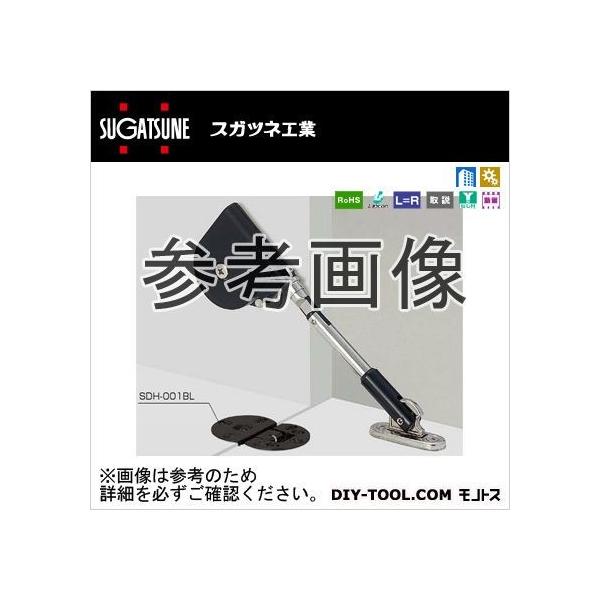 【入数】 1本 SDSC100BTV(180109263)