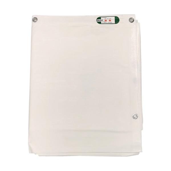 ■特徴 一般的な防炎性のクロスに比べて軽量なため、持ち運びの作業負担を軽減します。 防炎性能がある養生用クロスです。 耐薬品性があり、剥離剤に耐性があるため塗装工事の養生に最適です。 ■用途 橋梁足場の床壁面養生や建築、建設工事での養生カバ...