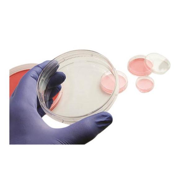 ●無毒性・パイロジェンフリーです。 ●受け皿のグリッピングで持ちやすく滑りにくい構造です。 ●通気性を維持するためのベントが付いています。 ●培養面積(mm2):145 ●外寸(蓋付)(mm):φ145×21 ●容量(mL):35 ●入数:...