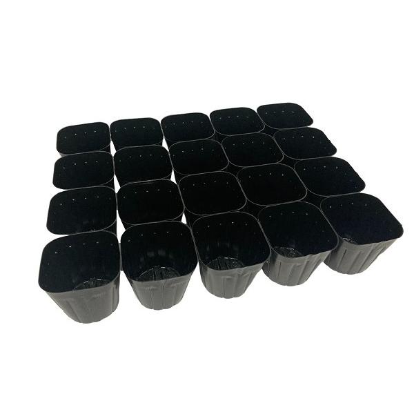 シート状にポリポットが連結しているので、作業能率が格段にアップします。  ポットのシステムトレイへのトレイ入れ作業がワンタッチ！ 根巻き防止リブ付。  簡単に切り離せる切り目入り。  ポットサイズ:10.5cm ポット数:20 カラー:黒 ...