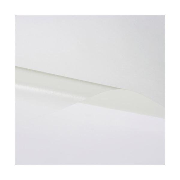 ■特長 表面の特殊なテクスチャー加工により、これまでにない立体感のあるガラス表現と、プライバシー保護の両方を実現します。 ガラス飛散防止効果と、紫外線カット機能も併せ持ちます。 ■用途 建物ガラスの意匠・目隠し効果・飛散防止・紫外線カット。...