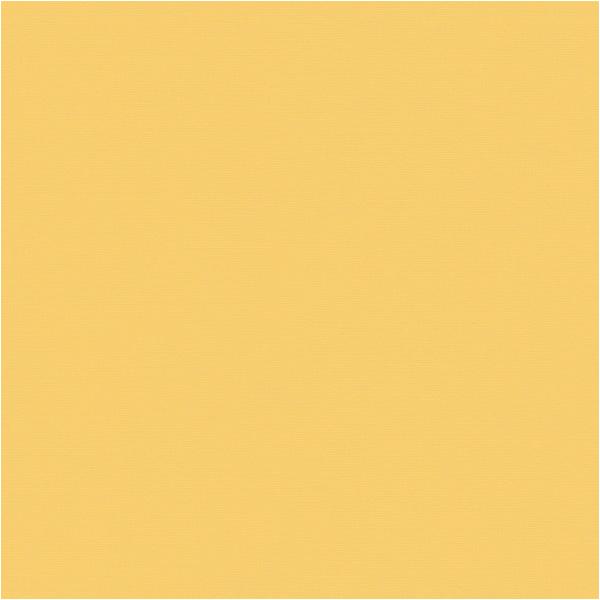 豊かな自然に恵まれた環境の中で古い都として栄えたウィーンと京都。 隆盛を極めた歴史の中で育まれたそれぞれの文化を背景に、特徴的な色をピックアップし、リチのデザインした壁紙に表れる色を結び構成したものです。 100年ものの装飾模様にふさわしい...