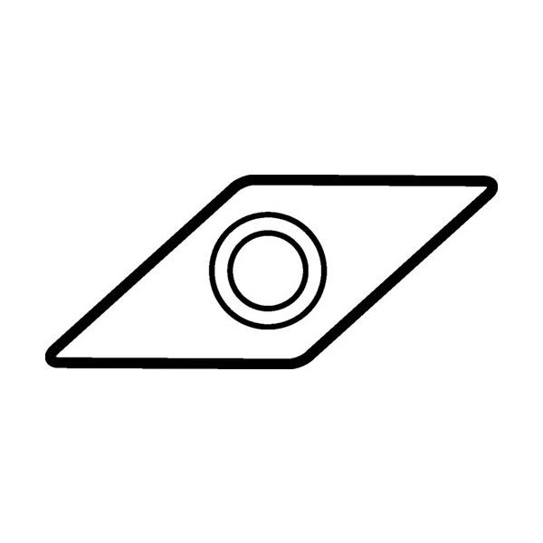 ■特徴 ワルター工具のアクセサリー部品です。  ■用途 旋削・フライス加工工具アクセサリー部品として。  ■仕様 商品名称(ISO)：AP154   【入数】 1点 AP154