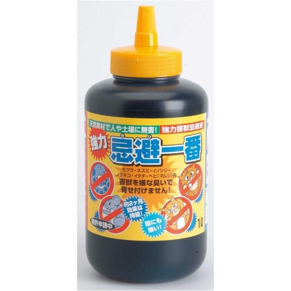 【入数】 1点