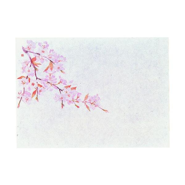 商品画像はイメージ画像です。実際とは異なる場合がございます。 ■特徴 ●天然セラミックを塗布した掛け紙 ●無蛍光和紙を使用しております。 ●霧吹等でよく湿らせてご使用ください。  ■仕様 ●幅×奥行(mm)：180×130 ●入数：100枚...