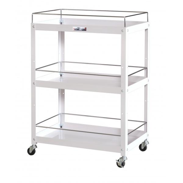 商品画像はイメージ画像です。実際とは異なる場合がございます。 【商品説明】  ●コボレ止め付き3段タイプ。 ●φ50ゴムキャスター。 ●2ヶストッパー付き、2ヶストッパー無し。 ●スプレー缶などの落下防止に便利です。   【商品スペック】 ...