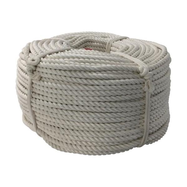 ■特徴 天然繊維なので、熱や摩擦に強いロープです。 水中や土中で腐食し土に還ります。  ■用途 農園芸、祭礼用、各種結束。 ●色:白 ●線径(mm):9 ●長さ(m):200 ●包装形態:バンド掛巻    【サイズ】 390 x 390 x...