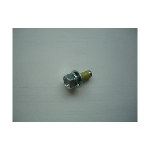 商品画像はイメージ画像です。実際とは異なる場合がございます。 ■特徴 強度に優れ、頭飛びをなくしました。 カプセル付特殊接着剤を焼付コートし、締め付け後の緩み止め効果が期待できます。 人と地球に優しい水溶性の接着剤を使用しております。  ■...