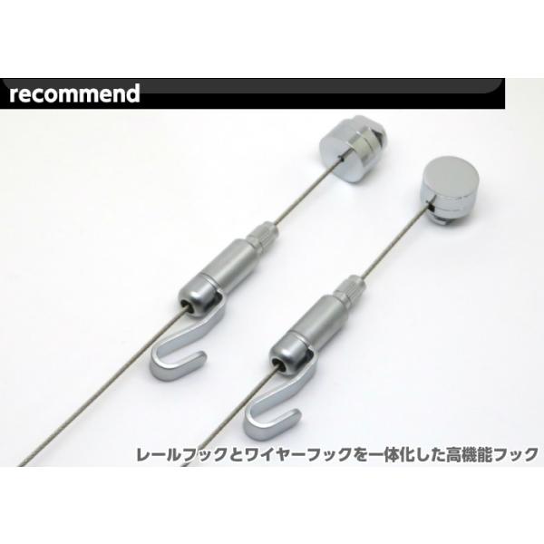 レールを取り付けたままフックが追加できる便利な後付タイプです。本品はピクチャーレールＲ・スリムライン兼用です。天井面、壁面兼用がございますのでご指定ください。クロームメッキをご用意いたしました。材質・真鍮製（ポイント部分）+ステンレス製ワイ...