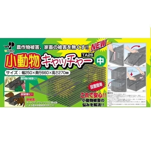 農作物や家畜の被害対策に！完成体なので直ぐに設置できます。 ●サイズ：270×250×660mm ●重量：4.5kg ●線径：2mm ●網目：26×26mm ●材質：スチール（亜鉛メッキ・黒ＰＶＣコーティング）/挨拶/ありがとう/イベント/...