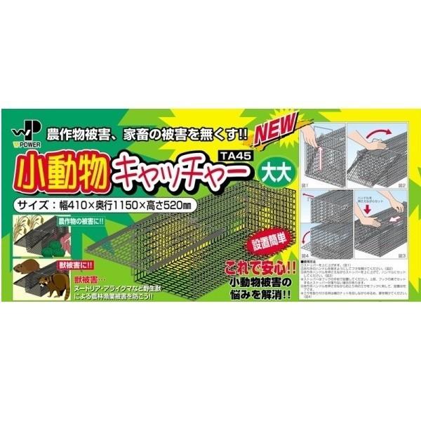 農作物や家畜の被害対策に！完成体なので直ぐに設置できます。 ●サイズ：520×410×1150mm ●重量：9kg ●線径：2mm ●網目：26×26mm ●材質：スチール（亜鉛メッキ・黒ＰＶＣコーティング）/ありがとう/イベント/祝/宴会...