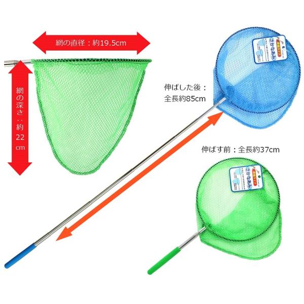 ●色柄指定不可●サイズ：網φ200mm、柄170〜650mm●材質：ポリエステル、鉄、ステン、PVC/遊び/アウトドア/おもちゃ/玩具/キャンプ/行楽/水筒/ツアー/登山/トラベル/ハイキング/ピクニック/野外/旅行/レジャー/挨拶/ありが...