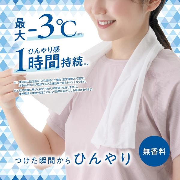 ●サイズ：200×600mm/枚●JAN：4545244700508/アウトドア/キャンプ/クール/行楽/さくら/サマー/シーズン/新生活/爽快/熱中症対策/花火/花見/春夏/ピクニック/日よけ/ひんやり/猛暑/涼感/冷感/冷却/レジャー/...