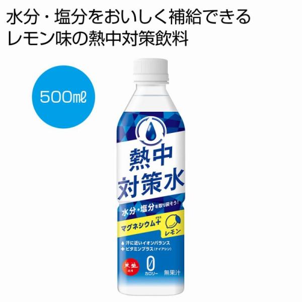 ●ジッパーケース入●賞味期間：390日間（常温）/アウトドア/キャンプ/クール/行楽/さくら/サマー/シーズン/新生活/爽快/熱中症対策/花火/花見/春夏/ピクニック/日よけ/ひんやり/猛暑/涼感/冷感/冷却/レジャー/挨拶/ありがとう/イ...
