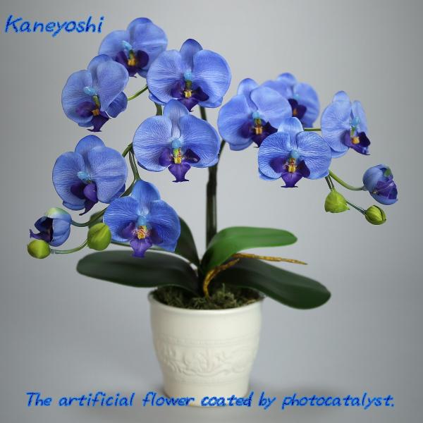 【サイズ】【幅】 約 ２０cm ×【高さ】 約 ３５cm　【重量】 約 １kg　（鉢の形状によって多少異なる事が有ります。）【花の径】（横） 約 ５．５cm × （縦） 約 ５cm胡蝶蘭小輪の造花に光触媒加工が施してあります。 　光触媒作用...