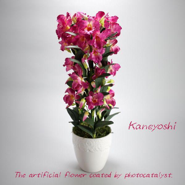 【光触媒フラワーとは】　光触媒作用を持つ二酸化チタン溶液を、精巧に作られたアートフラワーの花や葉、陶器（全て）にコーティング加工を施した商品です。 　触媒に使用している二酸化チタンは、【無害】で、紫外線をあてると有機物を分解する性質があり、...