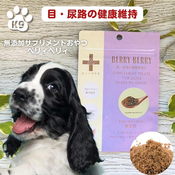 【犬尿路ケア特集ページ】※ビィ・プラスは健康をサポートするものであり、効果や効能を保証するものではありません。効果には個体差があります。