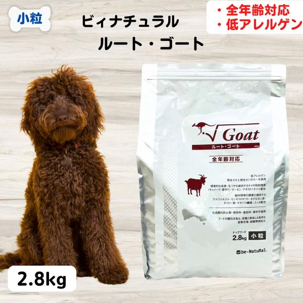 商品名[be-NatuRal] ルート・ゴート 小粒 2.8kg  一般名称ペットフード タイプドライタイプ バリエーション ルート・ブレンドシリーズはこちら ルート・ポークシリーズはこちら ルート・ポーク・ライトシリーズはこちら ルート・...