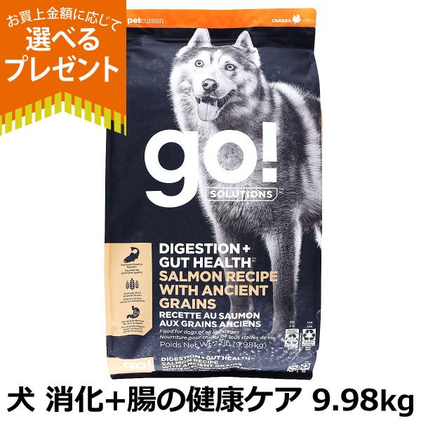 GO! SOLUTIONS 消化+腸の健康ケアの詳細対象　オールライフステージ用犬の健康に不可欠な消化器系の健康ケアをするために作られたプレミアムフードです。消化管を生き延びて腸の消化をサポートするように設計された特許取得済みのプロバイオテ...
