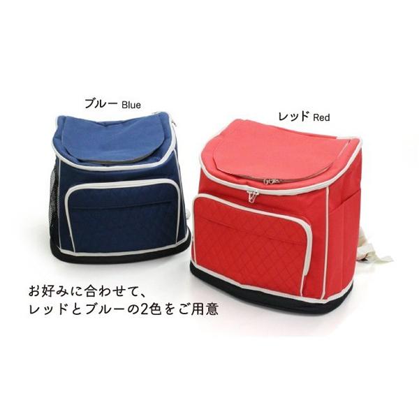 リュック、だっこバッグ、スーツケースや車に固定もできます。ワンちゃん、ネコちゃんどちらでも使えます。ソフトタイプで軽量なので女性にも扱いやすく、ワンちゃん、ネコちゃんとの移動がもっと便利に！