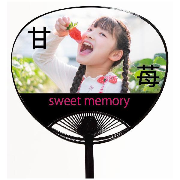 ※100セット以上でご注文ください。うちわ手作り,うちわ作り方,うちわ文字作り方,団扇作り方,うちわ体育祭,うちわ文字作成,うちわフォント,うちわテンプレート,うちわキット,手作りうちわ,手作りうちわ 作り方,手作りうちわ 作り方,手作りう...