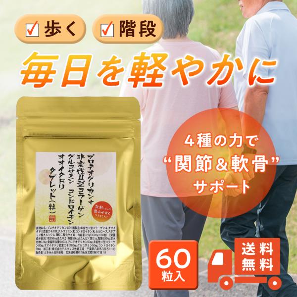 原材料：プロテオグリカン末（中国製造）非変性II型コラーゲン末、オオイタドリ若葉エキス末、グルコサミン末、コンドロイチン末、セルロース、ステアリン酸カルシウム、微粒二酸化ケイ素内容量：21g（350mg×60粒）【栄養成分表示［1粒250m...