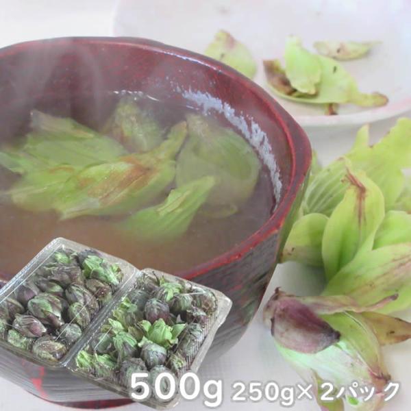 【発売日：2026年02月15日】和名：フキ 俗称：ふきのとう,ばんけ 地元（庄内地方）ではふきのとうを「ばんけ」と呼び、春の山菜として親しまれています。強い北風や雪がしっかりある寒い冬でも、雪の下ではしっかり春の息吹が芽を出し始めます。雪...