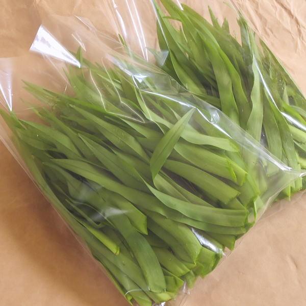 【発売日：2025年04月10日】和名：菅草俗称：かんそ 菅草は庄内地方では「かんそ」の名前で親しまれており、若芽はおひたしなどにする比較的クセの少ない山菜です。おひたしの他、煮物・あえものなどでお召し上がりください。名　称 菅草 産　地 ...