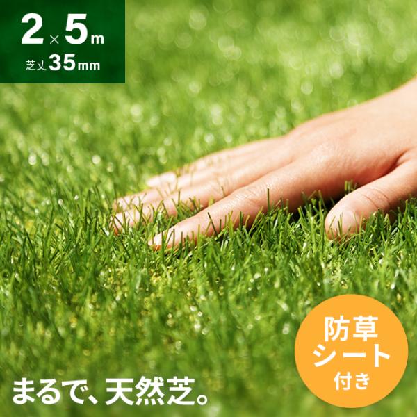 【送料について】無料（北海道札幌市のみ800円・札幌市以外1600円、東北400円、沖縄・離島見積り）【保証】3ヶ月保証【カラー】フレッシュグリーン、ラッシュグリーン【サイズ】約 2m×5m(毛足35mm)【材質】表面：ポリエチレン樹脂裏面...