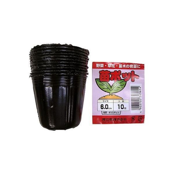 苗ポット 6.0cm 10個入種まき用ポリポット10個セット花苗、野菜苗、アガベやコーデックスの実生にも【仕様】寸法：6cm入数：10個カラー：黒【材質】ポリエチレン