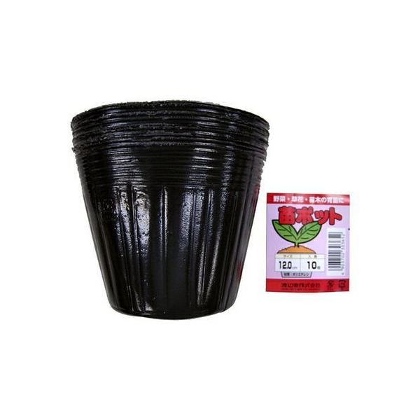 苗ポット 12.0cm 10個入種まき用ポリポット10個セット花苗、野菜苗、アガベやコーデックスの実生にも【仕様】寸法：12cm入数：10個カラー：黒【材質】ポリエチレン