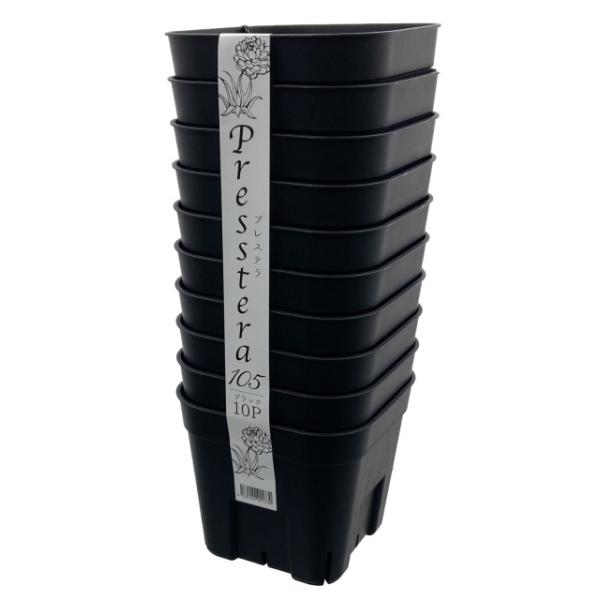 パキポディウムなどのコーデックスや多肉植物の衣装植え付けにおすすめのプレステラ鉢柔らかいビニールポットと違い、硬質ポットなので安定感があります。しっかりと自立し、植物が崩れにくく管理が容易です。8か所のスリット構造により、通気性・排水性が抜...