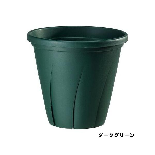 根はり鉢 6号 ダークグリーン生産者や園芸愛好家の中で高い評価を獲得しているサイドスリット構造の植木鉢。スリット鉢を使用すると、スリット近くまで伸びた根が外気に触れて成長を停止従来伸びにくかった中心部の根も発達しはじめ、次々と下へ伸びていき...