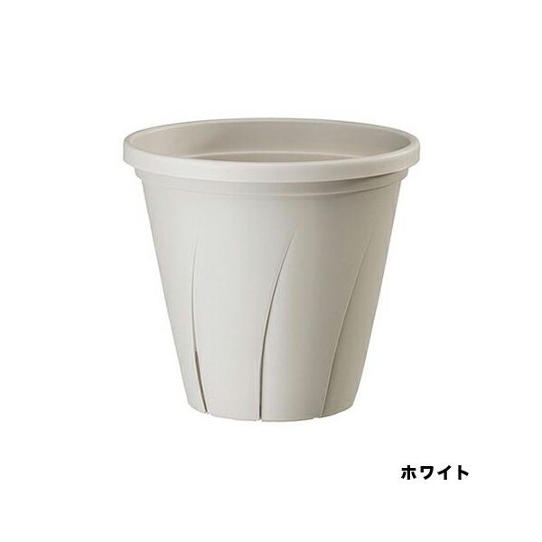根はり鉢 10号 ホワイト【商品特長】根は下に伸びる習性があるため、鉢で育成すると底で渦を巻くサークリング状態になりやすく、培養土内の栄養も充分に根に届かない状態になります。スリット鉢は、根が鉢中に広がるため、培養土内の栄養を充分に取り込み...