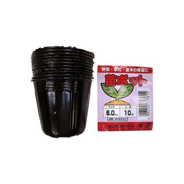 苗ポット 6.0cm 10個入種まき用ポリポット10個セット花苗、野菜苗、アガベやコーデックスの実生にも【仕様】寸法：6cm入数：10個カラー：黒【材質】ポリエチレン