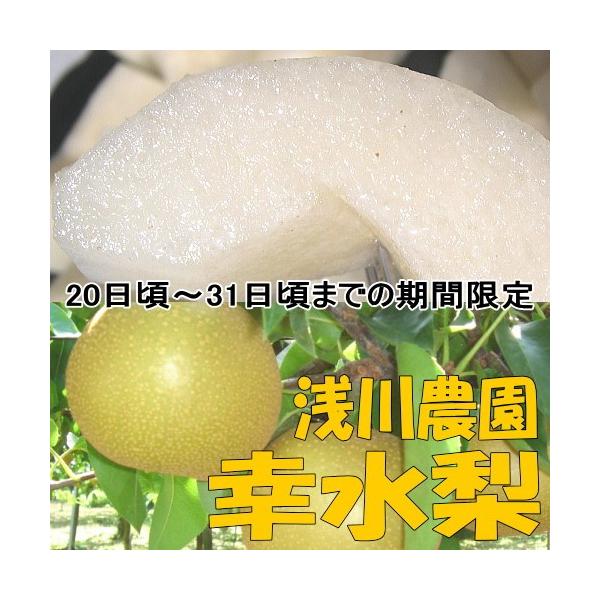 【発売日：2026年08月10日】【期間限定★生産者直送】10日頃発送開始!!8月中旬頃まで★みずみずしい歯ごたえと、芳醇な香り（*^_^*）米どころ新潟、信濃川の中流域で県のほぼ中央に位置する肥沃な土地と自然に恵まれた県内でも有数の果樹産...