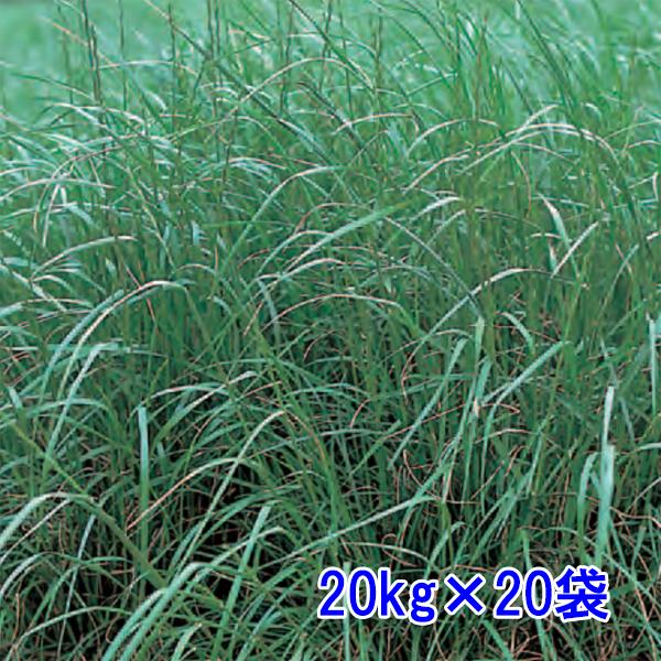■種子　イネ科牧草の王とよばれる　ライグラス類の一年草で　ネズミムギとも呼ばれます　　耐湿性に優れているので　水田裏作や水田転換畑での栽培でも　安定した収量をあげることができます　■特性　寒地型草種の中では最も発芽・初期生育が早い草種　日照...