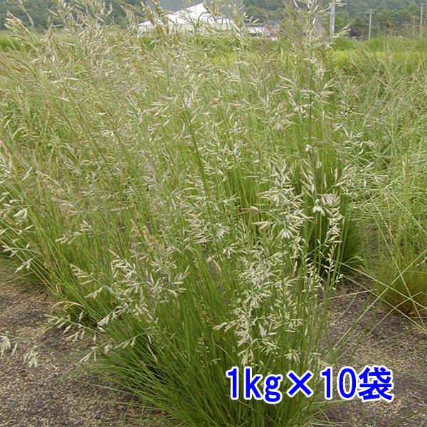 ■種子　発芽・成長の早い西洋芝の種子　クリーピングレッドフェスク■特性　寒地型の草種で、暑さにはあまり強くありません。　根系の密度が高いため、土壌の保持力に優れています。　草丈が高いため、芝生としての利用には不向きです。■適用地域　北海道〜...