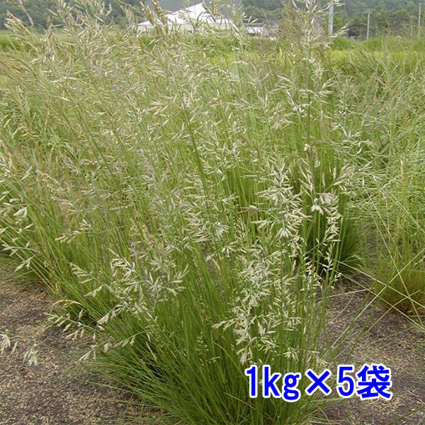 ■種子　発芽・成長の早い西洋芝の種子　クリーピングレッドフェスク■特性　寒地型の草種で、暑さにはあまり強くありません。　根系の密度が高いため、土壌の保持力に優れています。　草丈が高いため、芝生としての利用には不向きです。■適用地域　北海道〜...