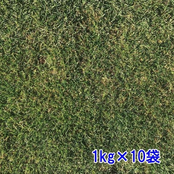 ■種子　西洋芝 ケンタッキーブルーグラスの種子　寒地型の草種で、発芽適温が若干高めです。■特性　草丈が高いため、芝生としての利用には不向きです。　緑化用に寒冷地から暖地まで幅広く利用できます。■数量　1kg×10袋（計10kg）■使用量　8...