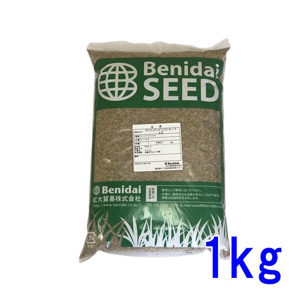 ■種子　暑さに強い芝生向けの矮性品種の種子■特性　細葉でクオリティーの高い芝生形成が可能です。　耐暑性が高く、夏期の芝密度を維持することが可能です。　抜群の耐陰性を有しており、日照時間の短い場所や　木陰地の緑化向けに適しています。■数量　1...