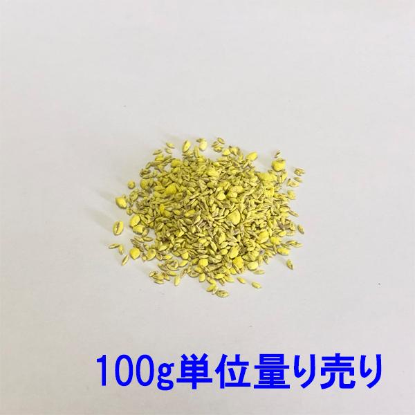 ■種子　バミューダグラスの矮性種モナコの種子　リビエラの後継品種として開発された　高品質のターフを形成する最新品種です。■特性　ティフトンレベルの芝質を誇り、　年間を通して密度の高いターフを形成します。　損傷からの回復も早いことから、ディポ...