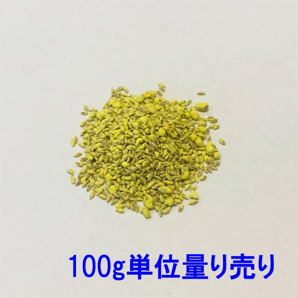 ■種子　バミューダグラスのトランスコンチネンタル　暖地型の草種で、乾燥にも比較的強いです。　イエロージャケットコートにより　発芽・初期生育が早いです。■特性　旺盛に生育するほふく茎と刈り込み・踏圧への強さから　芝生に適しています。　沖縄を除...