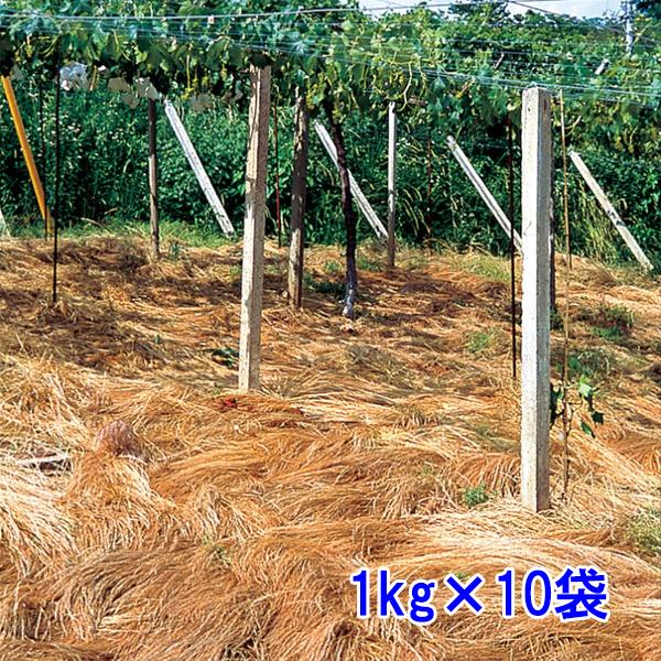 ■種子　オオナギナタガヤの種子です。　■特性　自然に倒伏するため、刈り取りが不要です。　マルチ効果で長期間雑草を抑制します。　枯れて堆積していく茎葉は有機物として土壌改良に貢献します。　表土の流亡防止、根による深耕効果も得られます。　■数量...