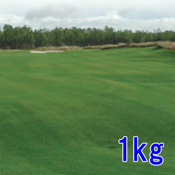 新型コロナウィルス及び2021年アメリカで発生した大規模な熱波により種子の入荷が極めて不安定になっています。こちらの商品は現状確保可能な矮性品種のいずれかをお届けするという形になります。一般品種に比べ背の低くなる矮性化に加え耐暑性・耐病性な...